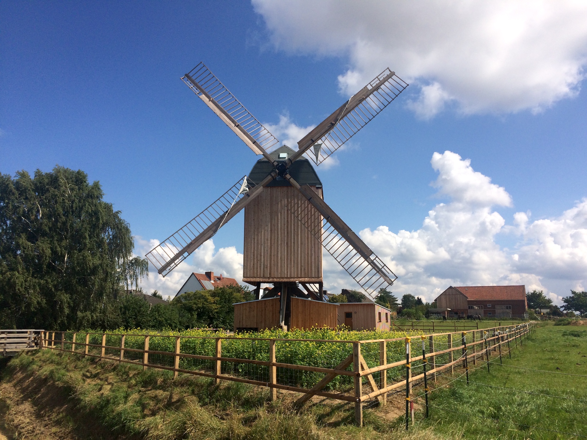 Windmühle Dettum: Ein Wahrzeichen erwacht zu neuem Leben - Nördliches ...
